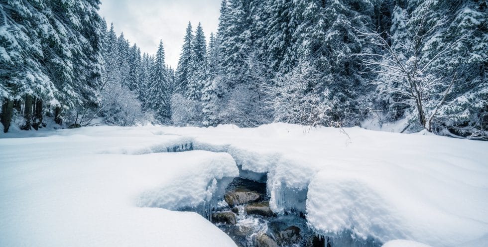 Surveying During the Winter Months - Element Land Surveying